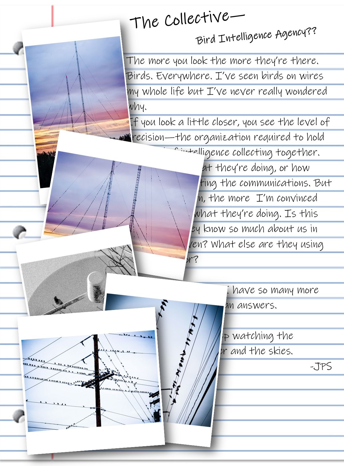 V23.E02 • The Collective: Are Birds Watching Us? – J Packer Samms ...